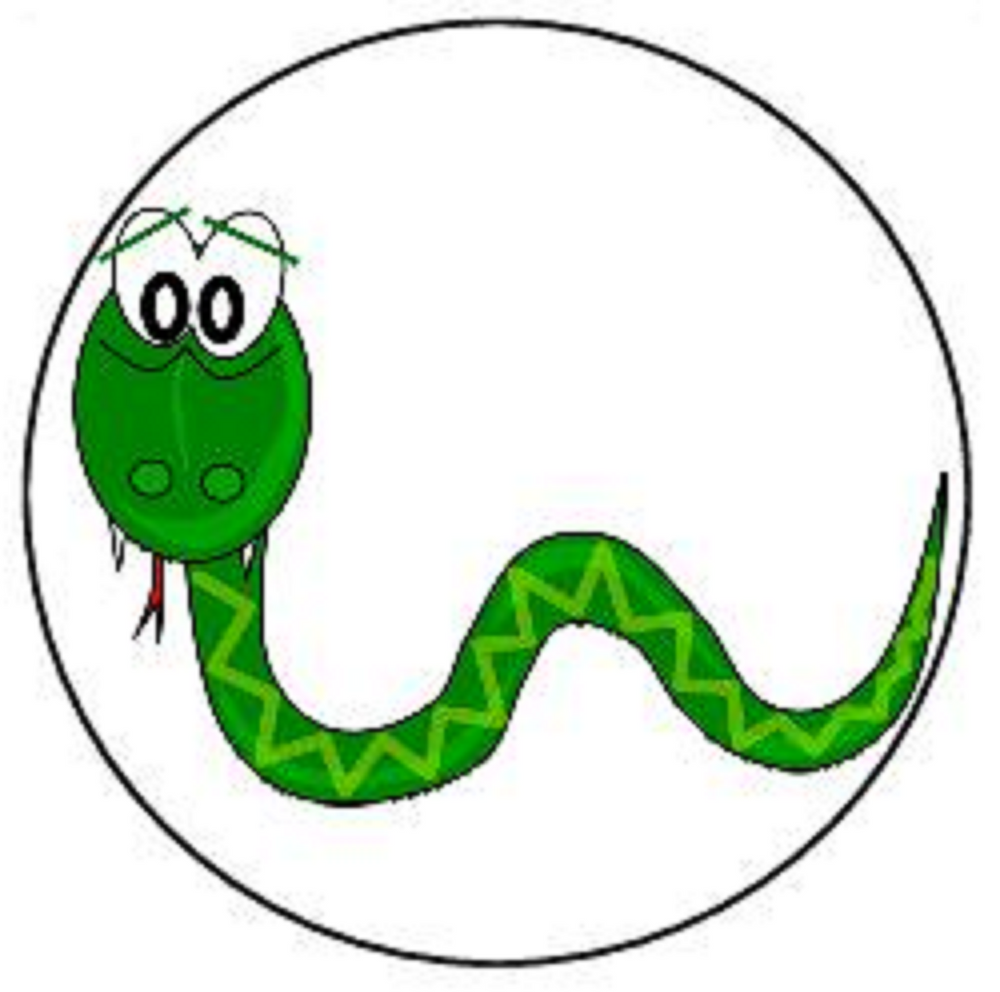 SNAKE 30 x 4cm PREMIUM EDIBLE ICING ROUND CUP CAKE TOPPERS CUTE REPTLIE ...