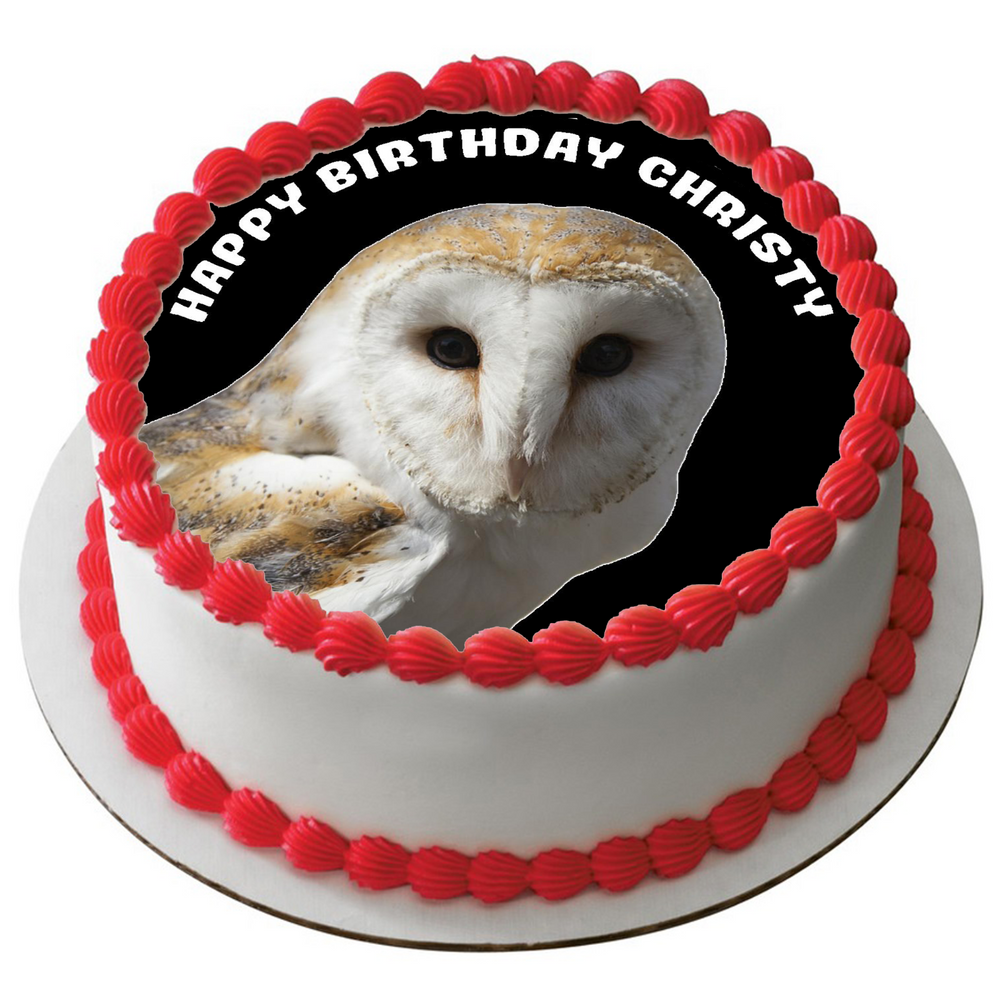OWL 7.5" ROUND ICING EDIBLE PREMIUM CAKE TOPPER 19CM DIAMETRE BIRD D5 ...