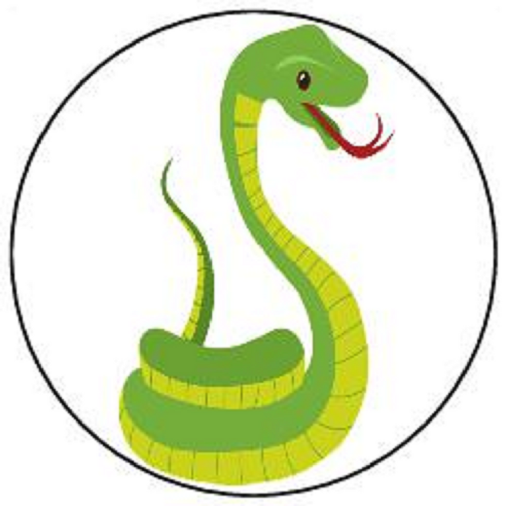 SNAKE 30 x 4cm PREMIUM EDIBLE ICING ROUND CUP CAKE TOPPERS CARTOON ...