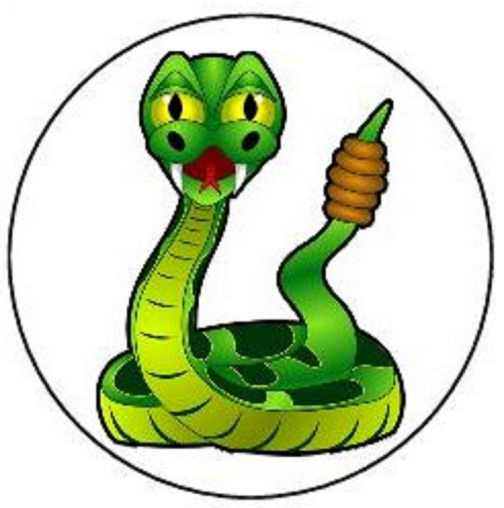 SNAKE 30 x 4cm PREMIUM EDIBLE ICING ROUND CUP CAKE TOPPERS REPTILE D1 ...