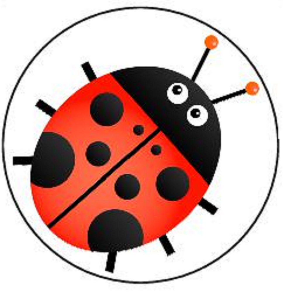 LADYBIRD 30 x 4cm PREMIUM EDIBLE ICING ROUND CUP CAKE TOPPERS LADYBUG ...