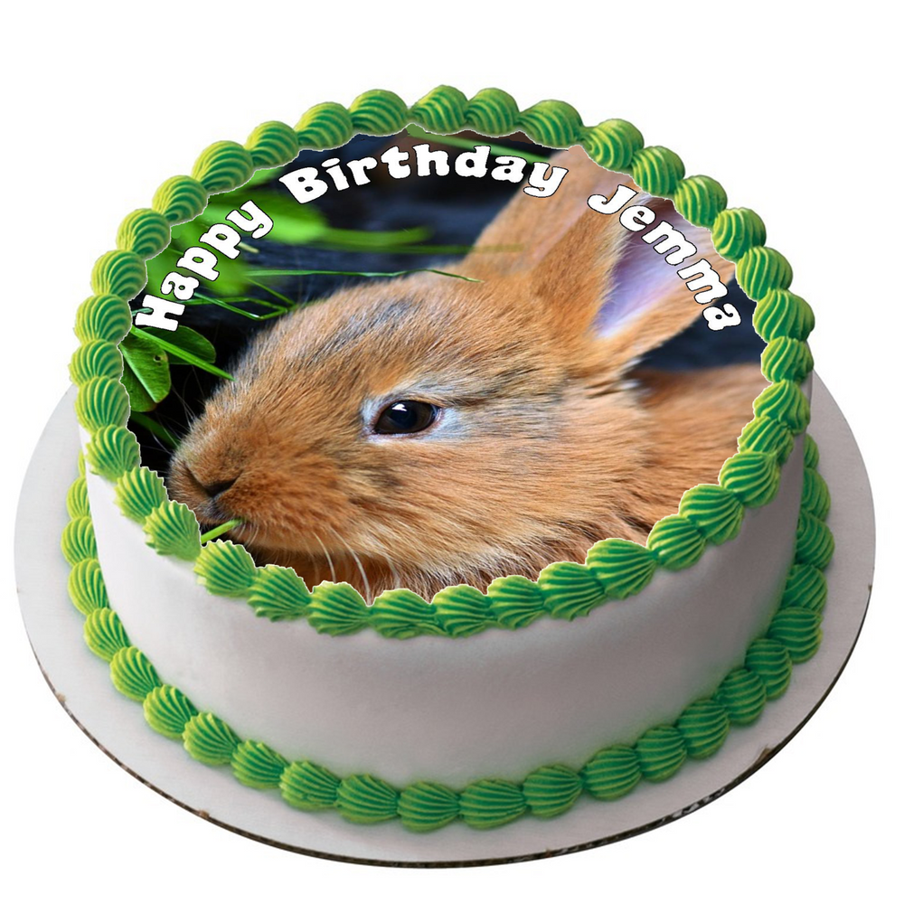 RABBIT 7.5" ROUND RICE WAFER PAPER EDIBLE PREMIUM CAKE TOPPER BUNNY ...