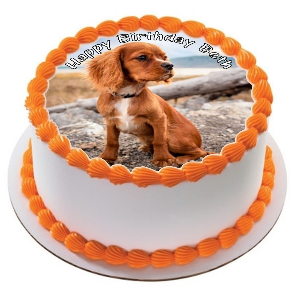 SPANIEL DOG 7.5" ROUND RICE WAFER PAPER EDIBLE PREMIUM CAKE TOPPER D1 ...